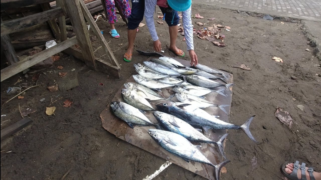 Manado Fishing - YouTube