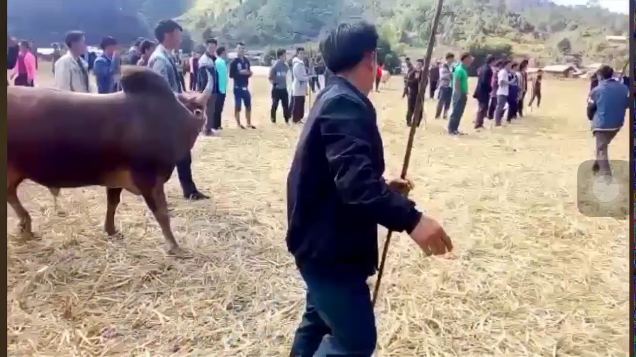 Nguj txawj nawb - YouTube