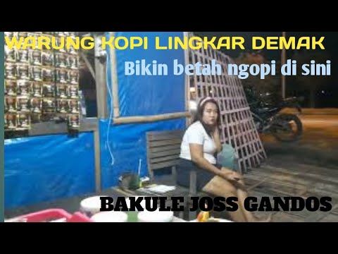 Ngopi Di Warung Janda Di Lingkar Demak#Driverslandak969