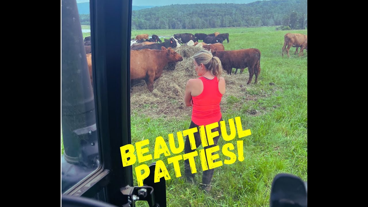 Beautiful Cow Patties (Perfection) - YouTube