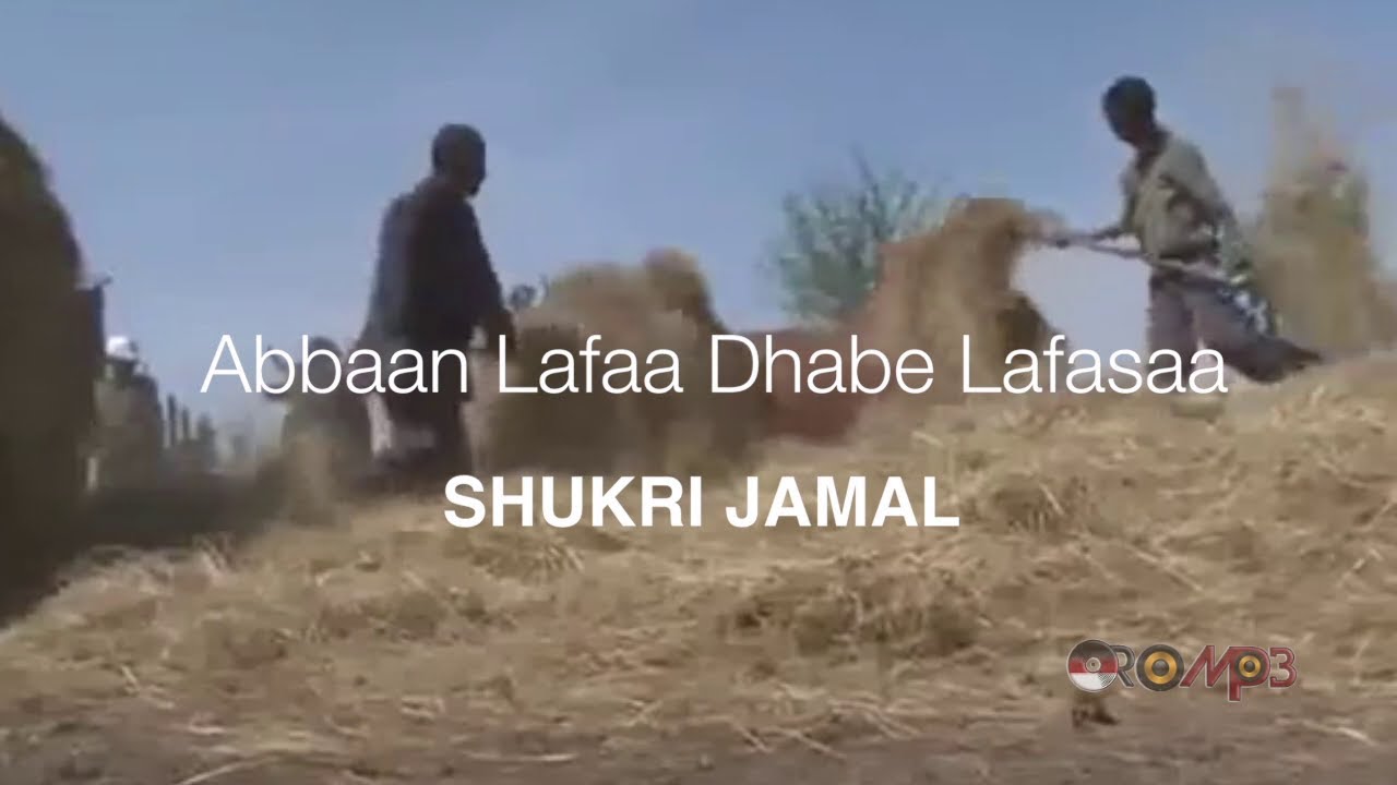 Shukri Jamal - Abbaan lafaa dhabe lafasaa (Oromo Music 2014 New) - YouTube