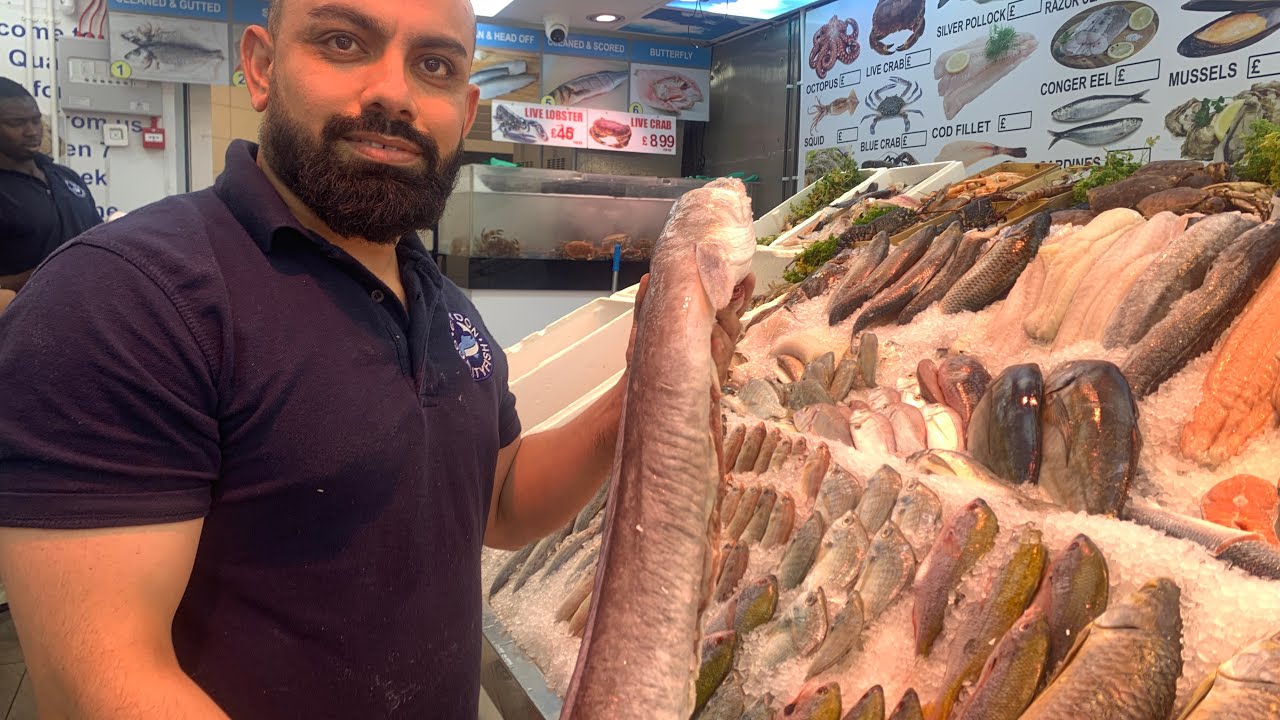 GIANT CONGER EEL #trending - YouTube