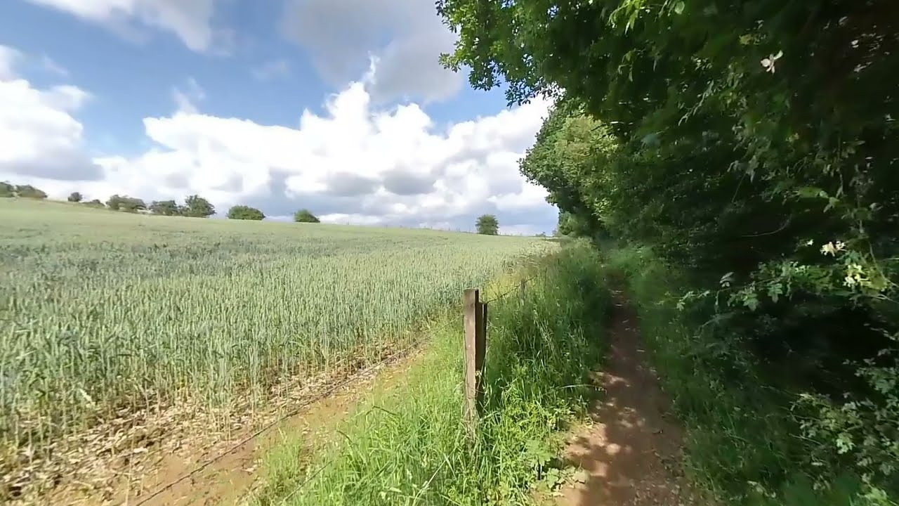 Nethan Gorge, Crossford , Scotland on 2021-07-07 at 1623 in VR180 - YouTube