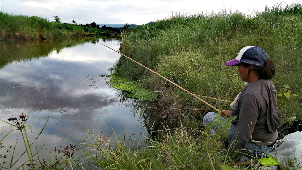 Delikadong spot madami ng isda nabubuhay na uli mga ilog | Buhay ...