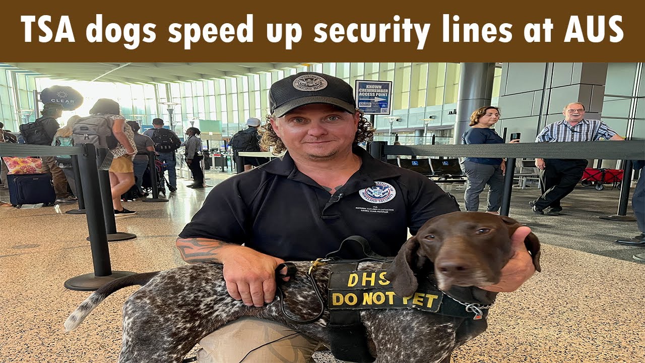 TSA dogs speed up security lines at AUS - YouTube