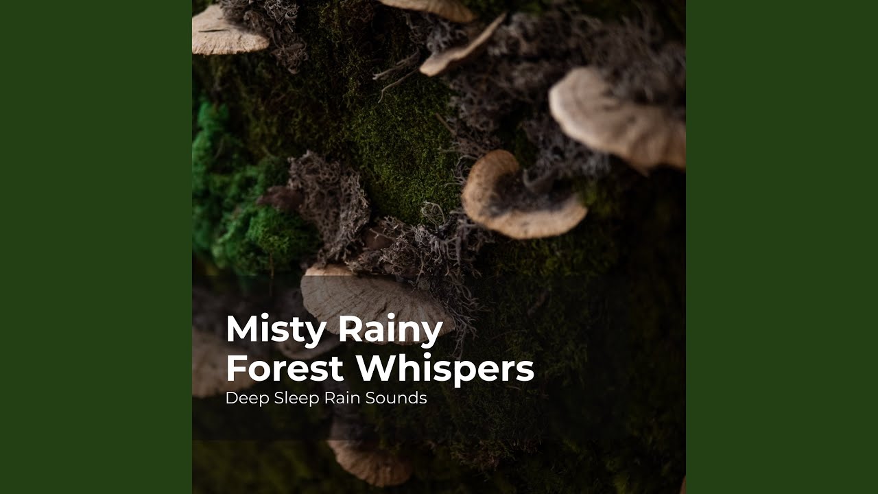 Rain Falling All Night - YouTube