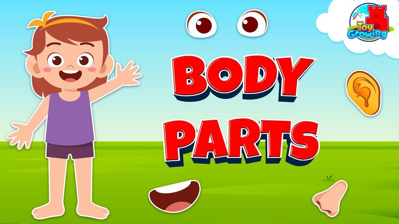 Body Parts Songs | Learn and Have Fun! | Toy_growing - YouTube