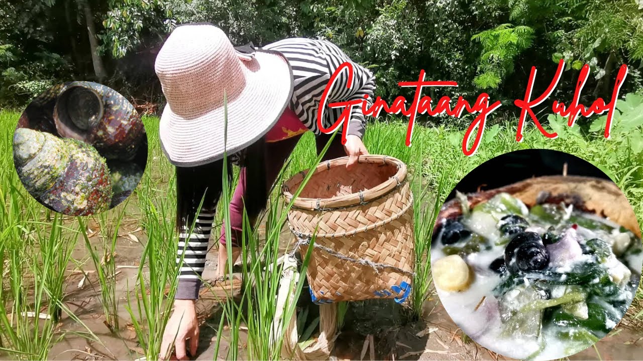 Did you taste and eat Kuhol eggs inside its shell? Cooking GINATAANG ...