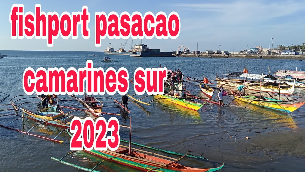 PASACAO CAM.SUR MARKET DAY FISH PORT ( BICOL PROVINCE PHILIPPINES ...