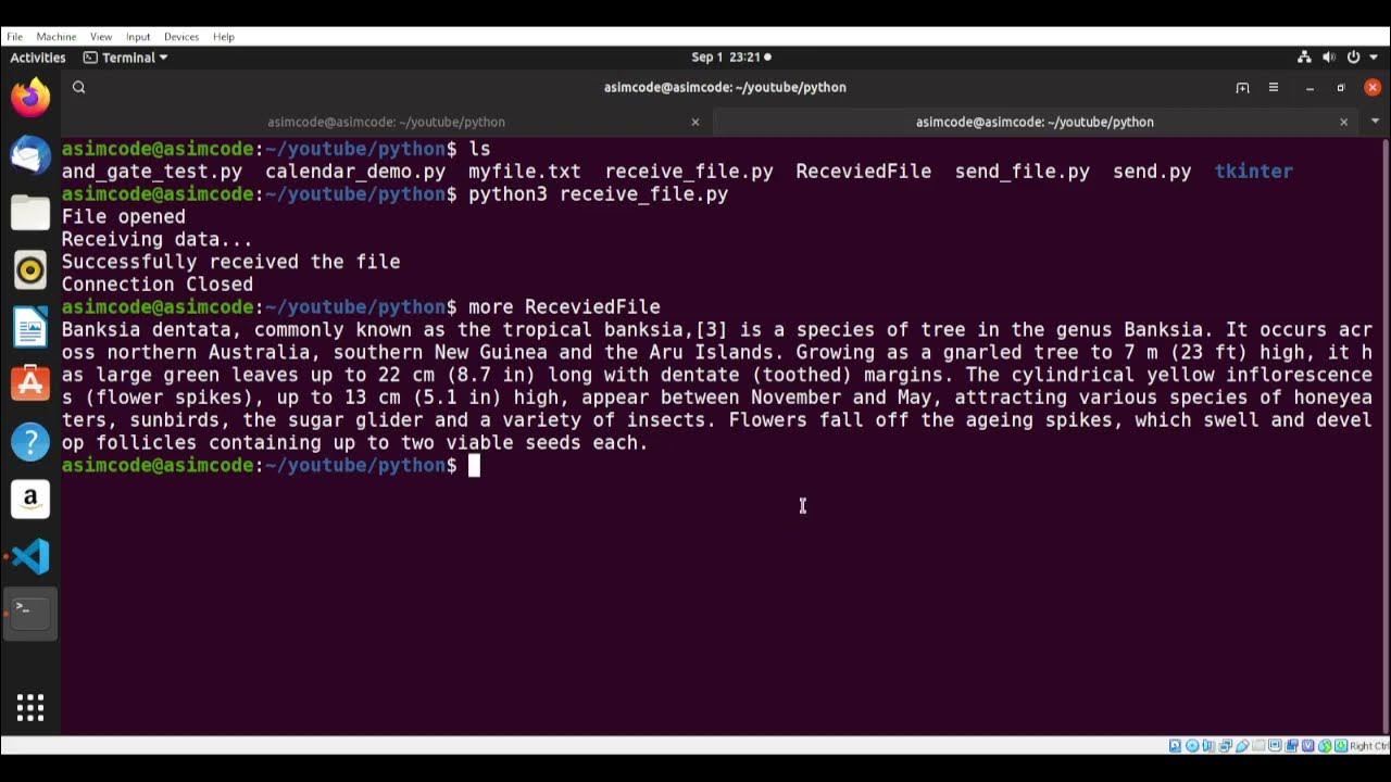 File Transfer In Python - Sending and receiving files - YouTube