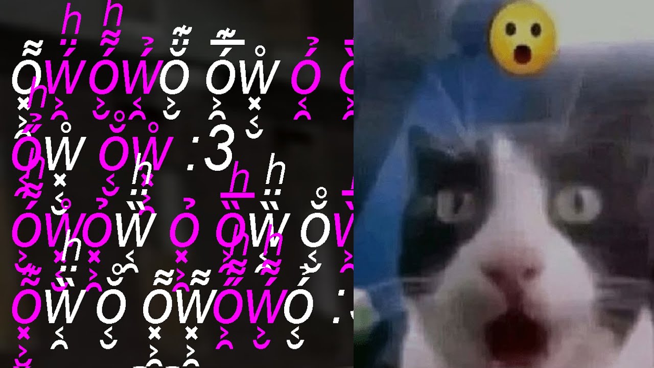 o͔͓̯̊w͕̯̏̅ó͔̮̉ - Silly Meow-Conlang Showcase - YouTube