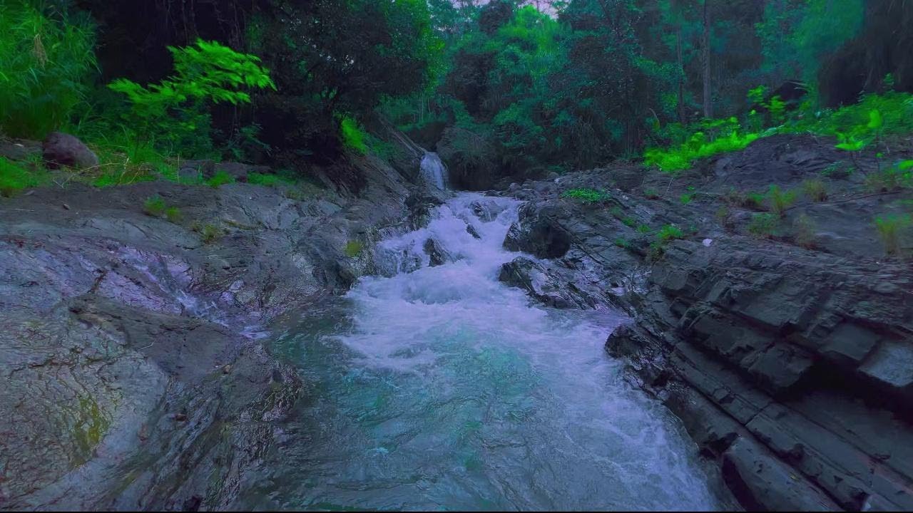Soft Flowing River in Hidden Forest for Sleep, Peace, Study and ...