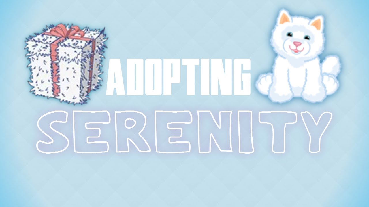 WEBKINZ SIGNATURE PERSIAN CAT ADOPTION || ROOM BUILD - YouTube