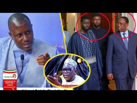 Mouhamed Cissé révèle tout sur le Protocole du Cap Manuel & la nouvelle posture de Cheikh Yerim