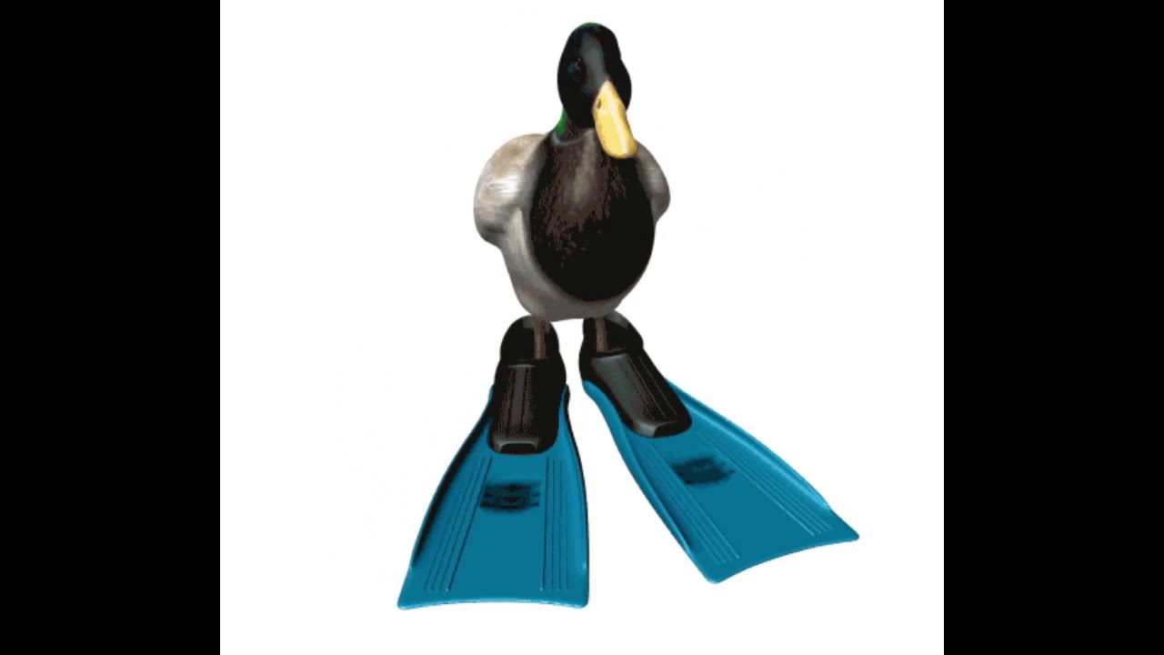 Duck spinning to tokyo drift - YouTube