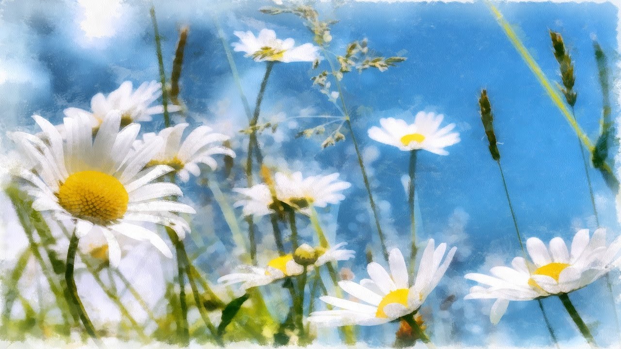 "Age of Flowers" from Masako's Album "Hidden Flowers," - 2020 ZMR Album ...