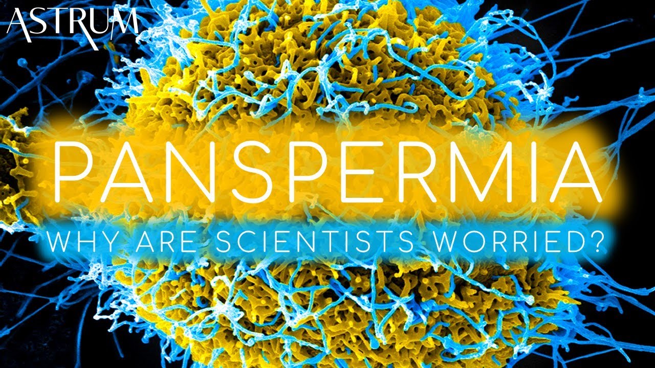 The Real Worry About Panspermia - YouTube