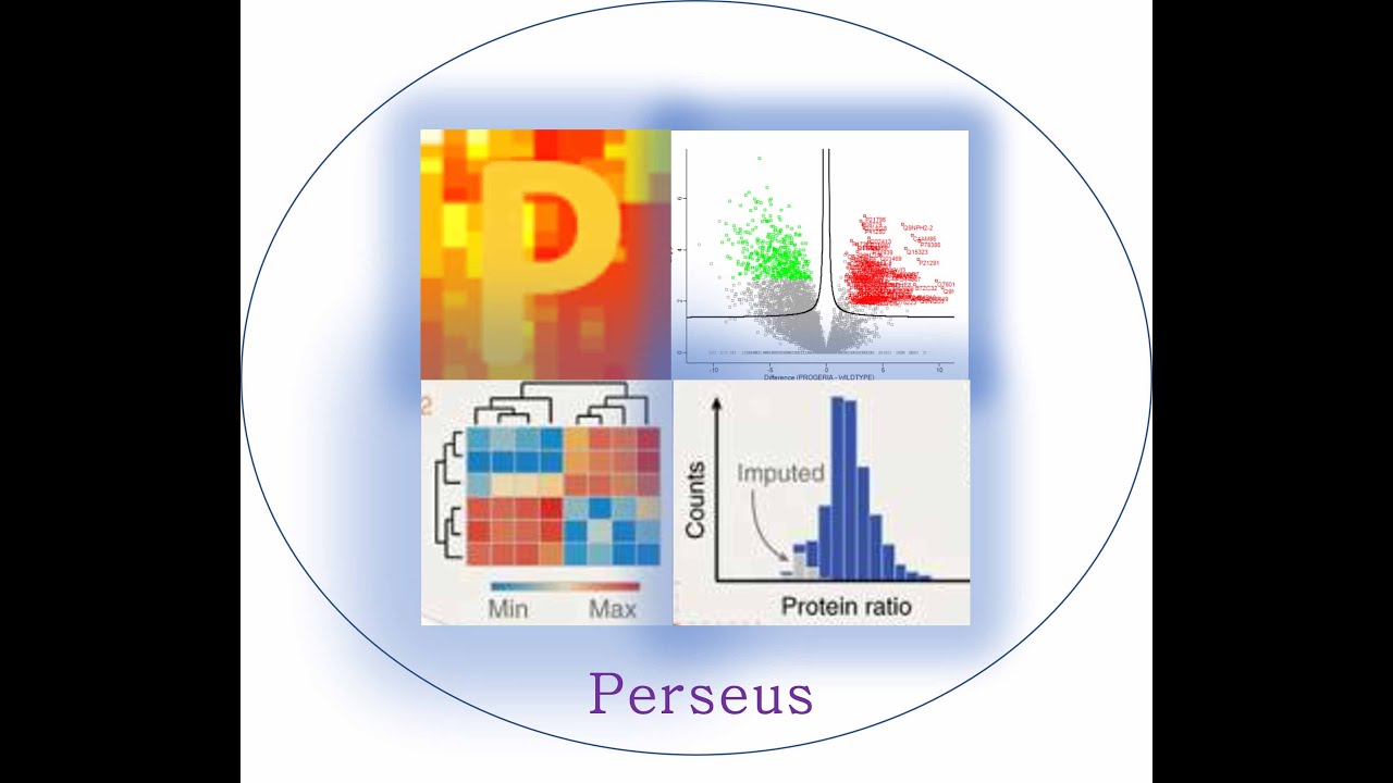 Perseus | Perseus basics tutorial | MQSS - YouTube