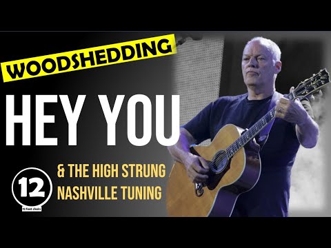 Hey You - Pink Floyd | Guitar Lesson (Nashville tuning)