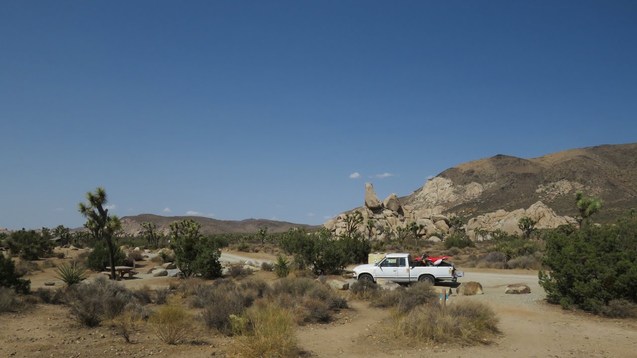Ryan Campground and Bees in Joshua Tree National Park information - YouTube