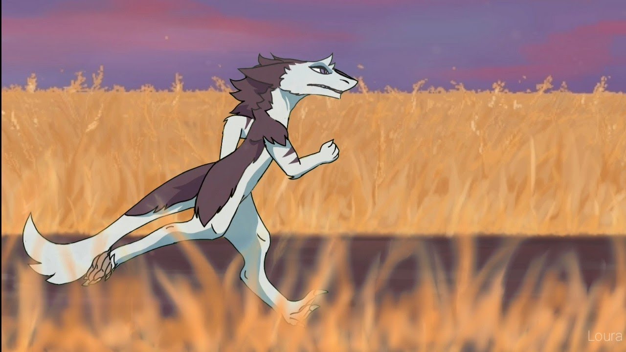animation process: sergal running - YouTube
