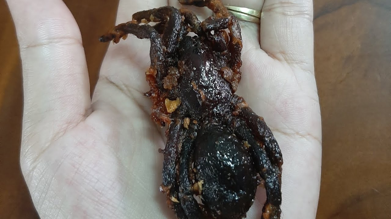 First time eating spider/Cambodia street food/Full video of my first ...