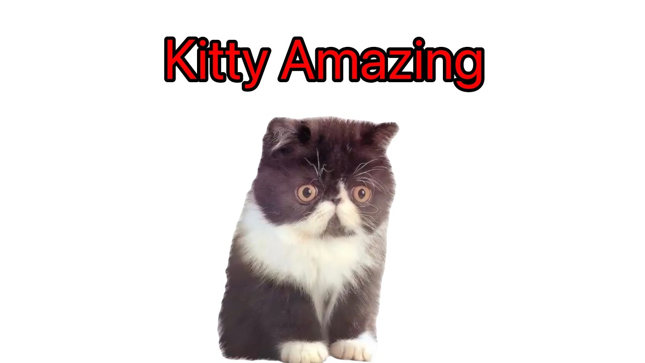 The Epic and Awesome Animations Show S1 E9: Kitty Amazing - YouTube