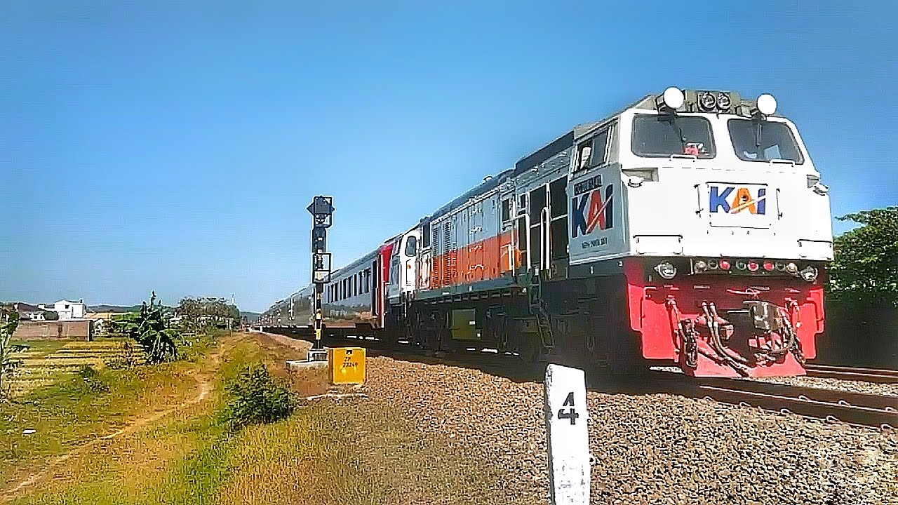 Captivated TRAIN locomotive diesel runs here "cc206" KAI TRAIN - YouTube