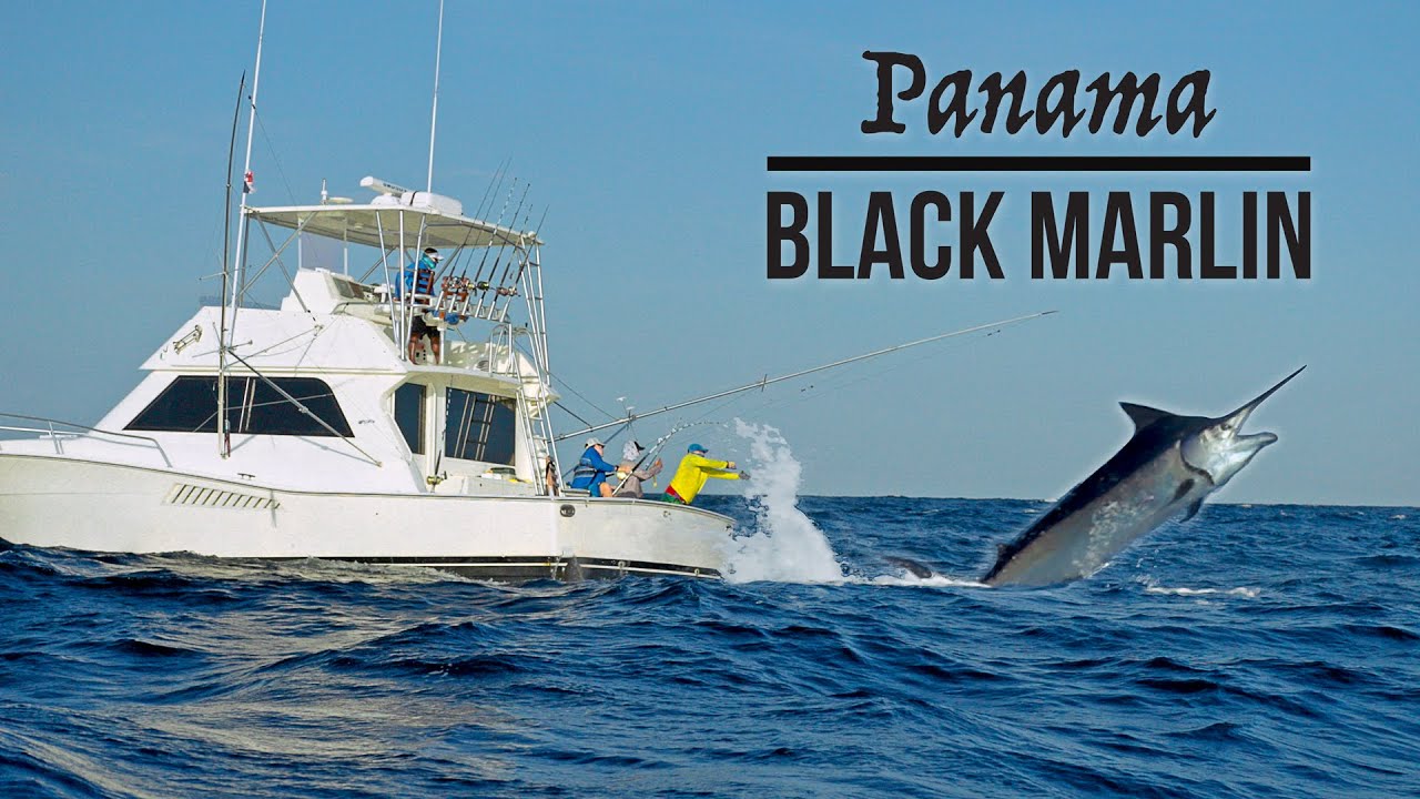 Fishing for Giant Black Marlin | Tropic Star Lodge - Original Film ...