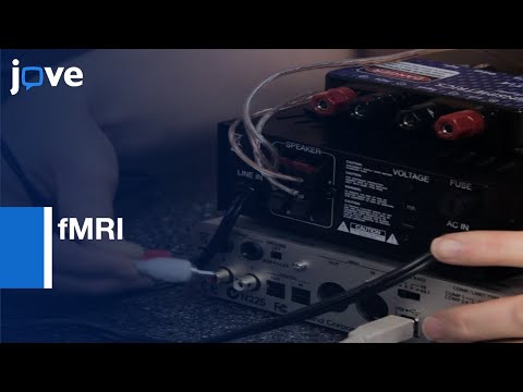 Functional Imaging of Auditory Cortex using High field fMRI | Protocol Preview - YouTube