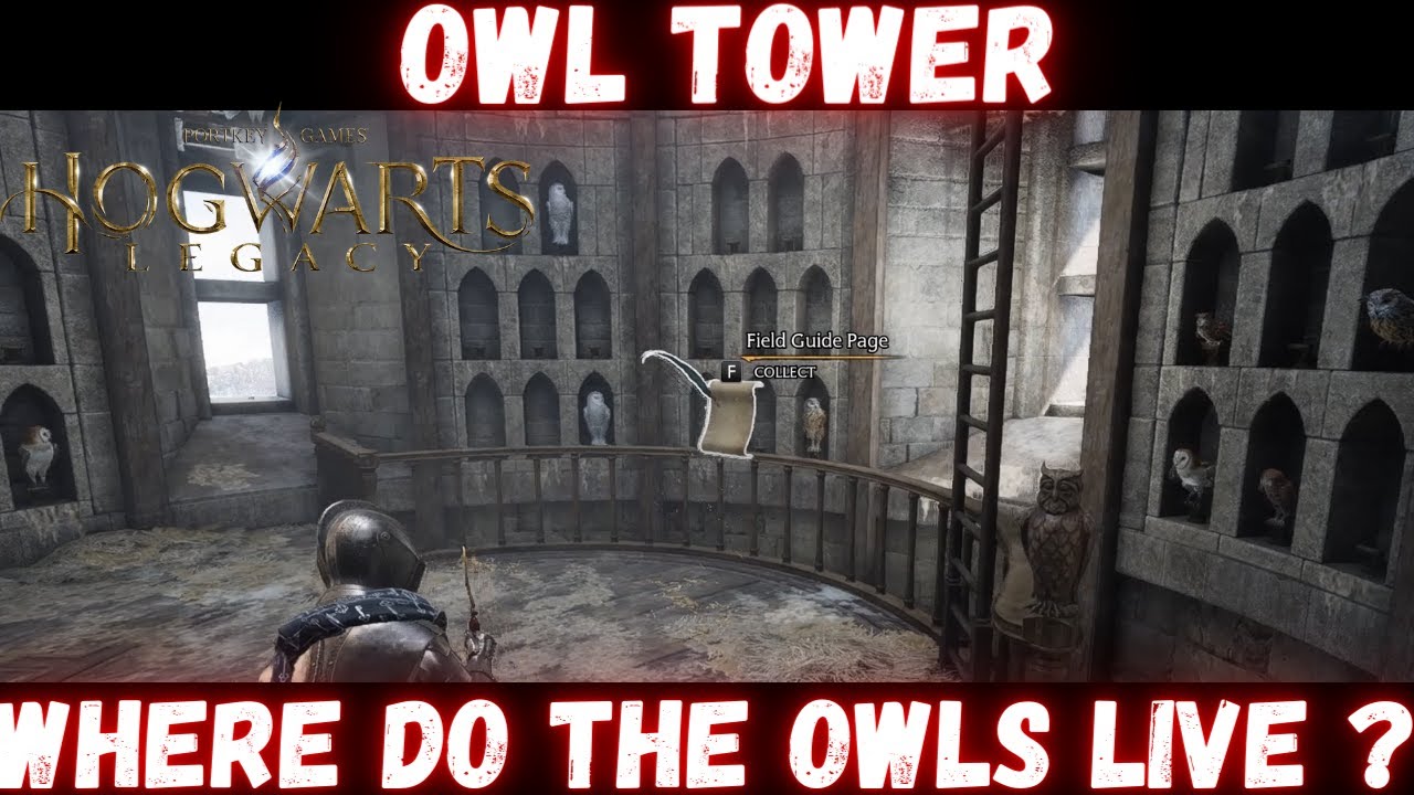 Owl tower of hogwarts, hogwarts legacy, 3 Missing field guide pages ...