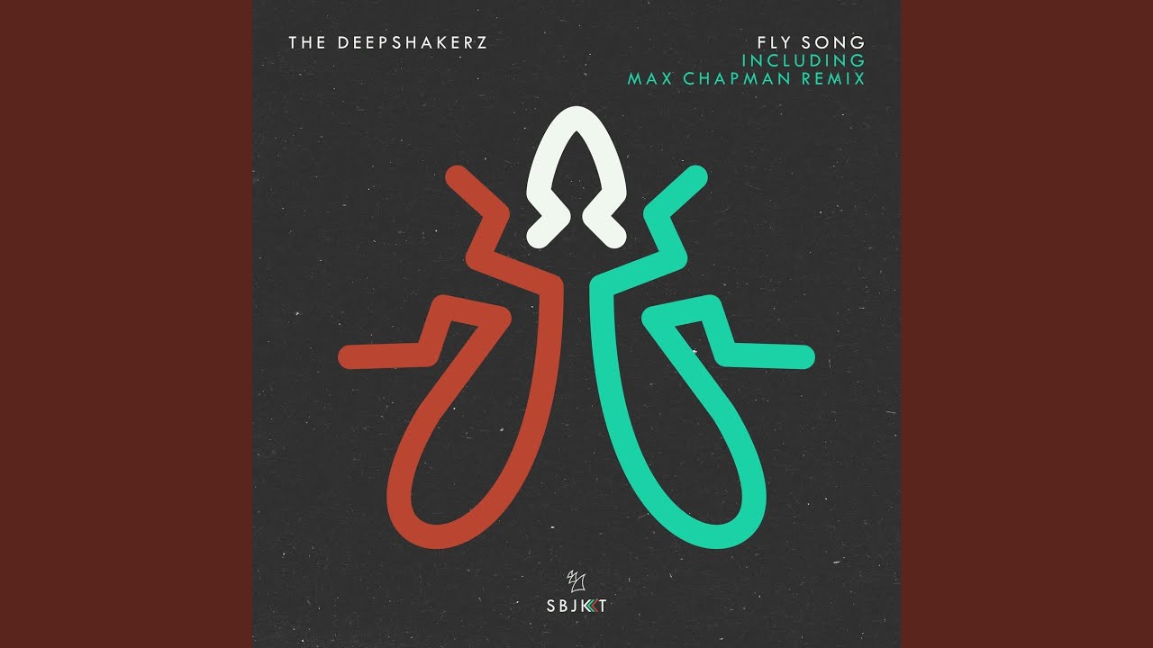 Fly Song - YouTube