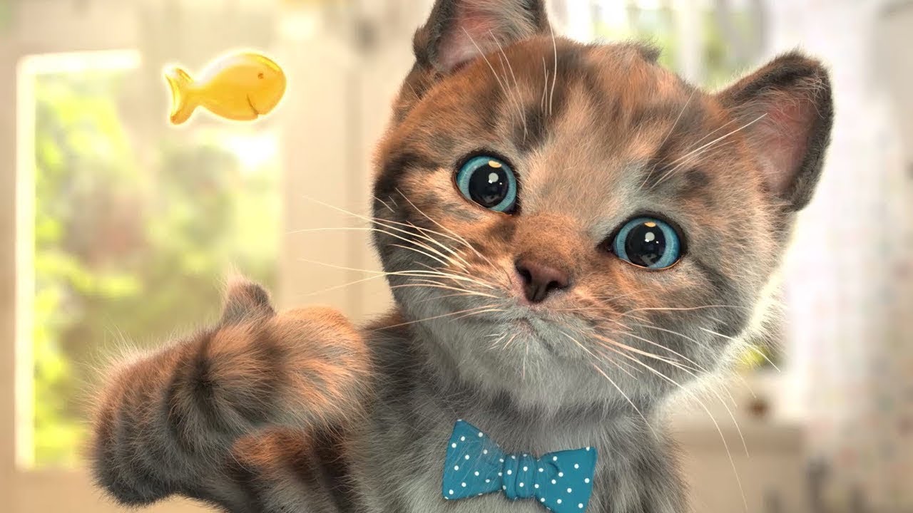 LAS AVENTURAS DEL GATITO - YouTube