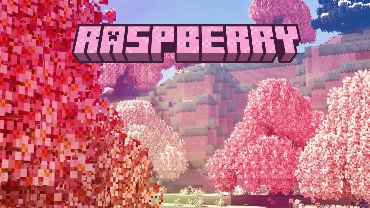 RASPBERRY 🍁 Приватный Ванильный Майнкрафт Сервер 🍁 Набор - YouTube