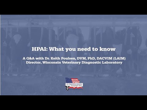HPAI: What you need to know - YouTube
