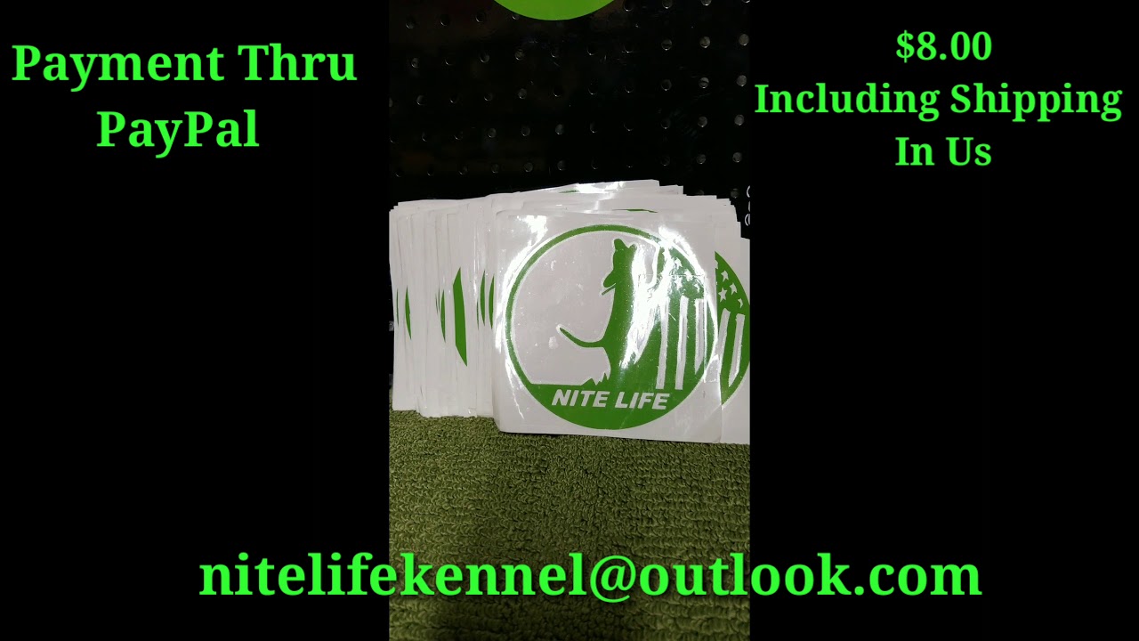 GET YOUR NITE LIFE DECAL WHILE THEY LAST - YouTube