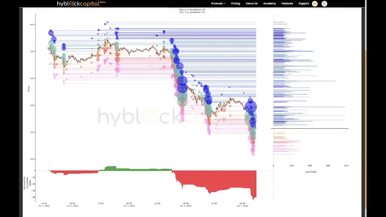 Hyblock Academy: Liquidation Levels - YouTube