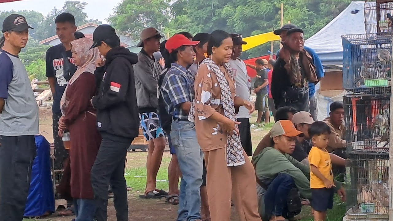 🔴PB PLERED CIREBON TEMPAT BARU LEBIH RAME ‼️ - YouTube