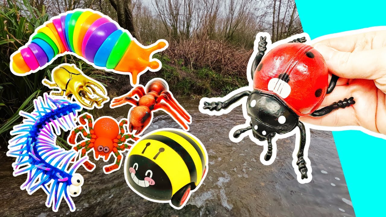 Learn Bug Names at the Brook for Babies Toddlers Preschoolers Kids ...