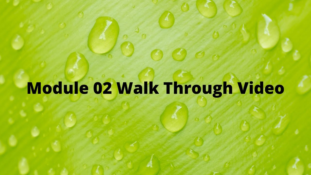 Module 02 Walk Through Video - YouTube