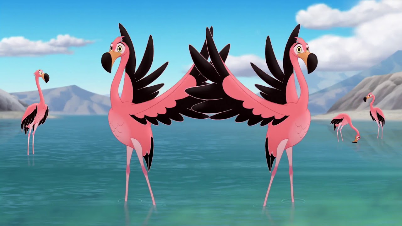 The Lion Guard- Flamingo Dance Party (Brazilian Portuguese) - YouTube