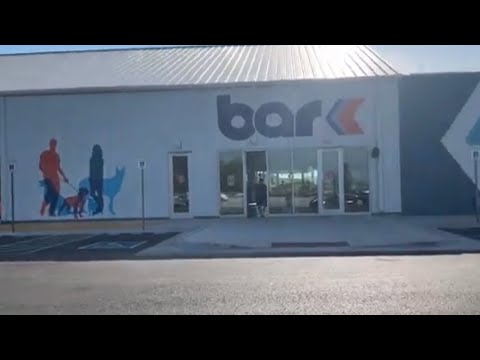 Checking out BARK bar/restaurant in OKC. and my Target Run!! #new - YouTube