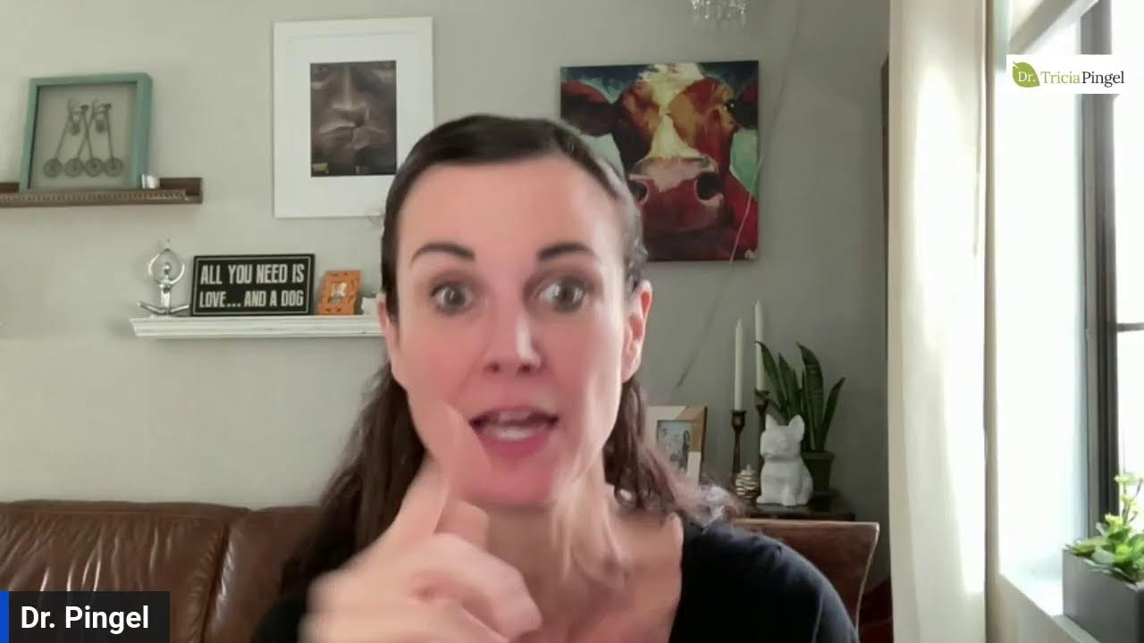 Live Q & A with Dr. Pingel! - YouTube