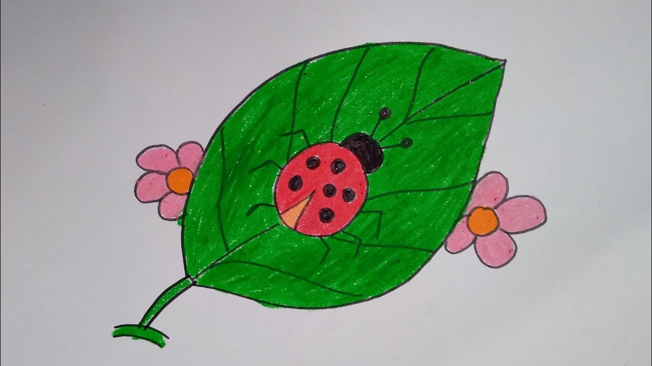 How to draw a Ladybug |A leaf with a Ladybug drawing |Ladybug drawing ...
