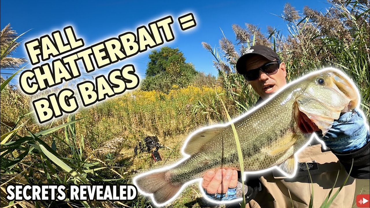 Chatterbait Tips for Fall Bass Fishing (Colors, Trailers & Retrievals ...