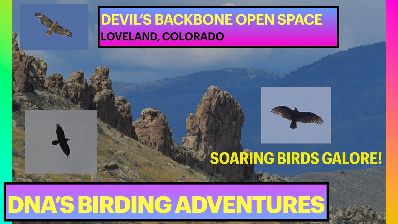 Devil’s Backbone, Loveland CO for soaring #birds &STRANGE Encounters ...