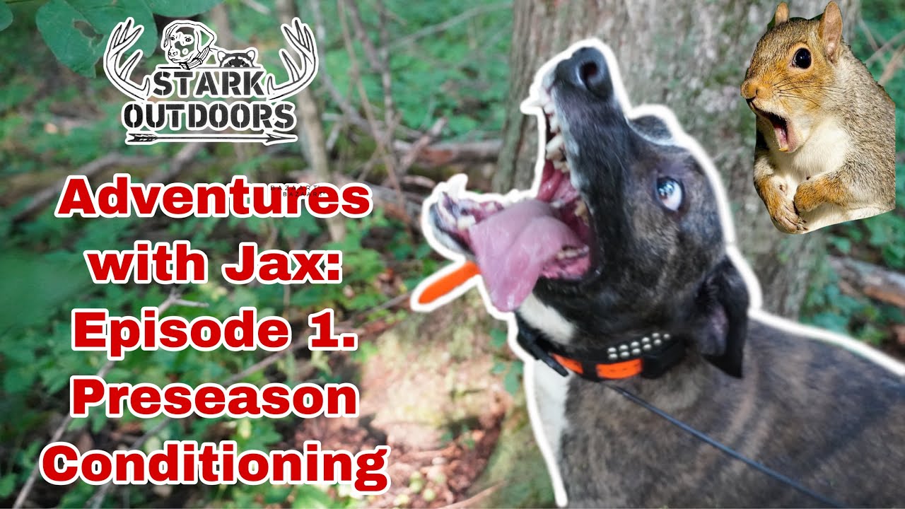 Adventures with Jax, Episode: 1 Preseason Squirrel Hunting Conditioning ...