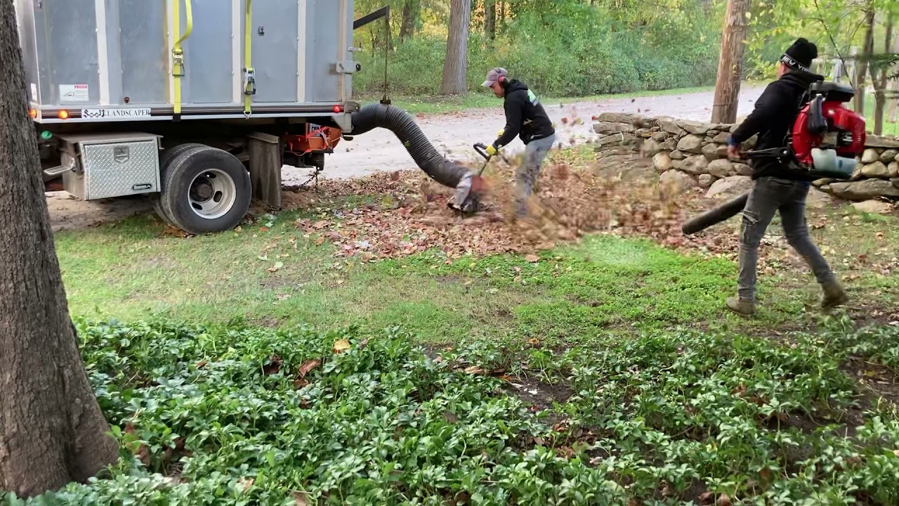 Scag leaf Vac and Redmax blowers dealing with a small amount of leaves ...