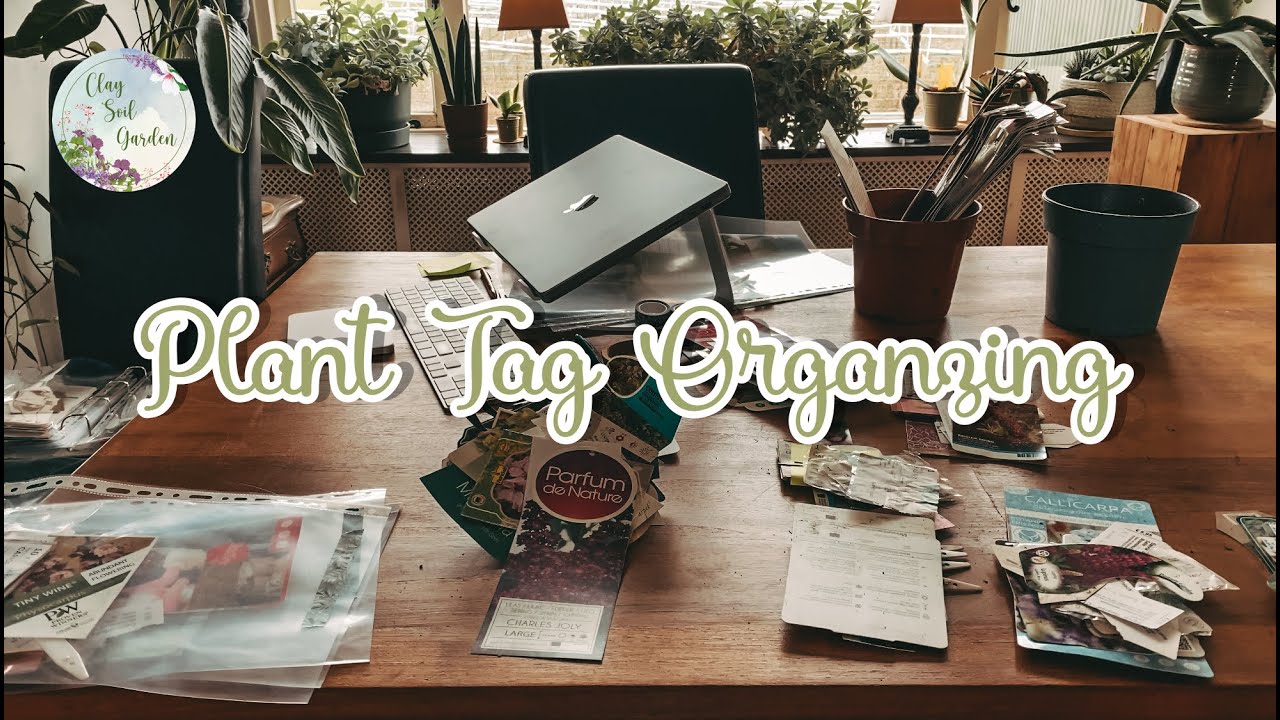 Come Organize with me | Plant Tag Hoarder | Clay Soil Garden - YouTube