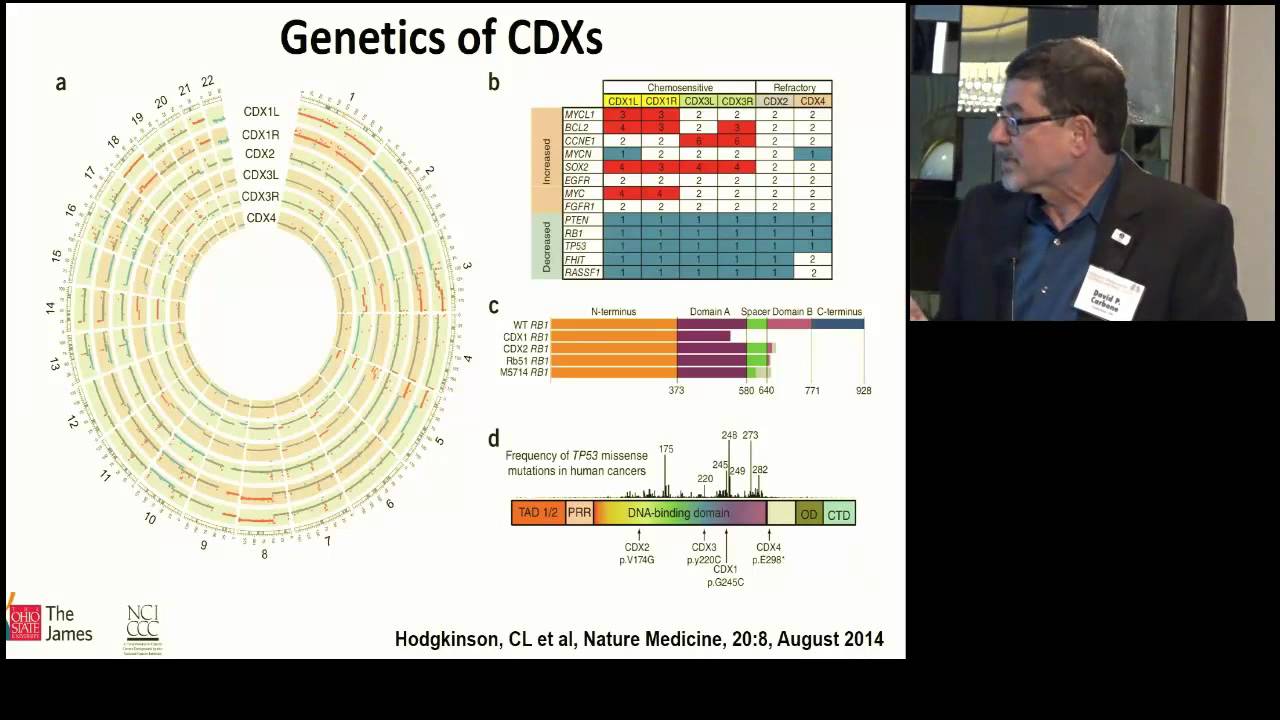 Top five advances in SCLC in 2015 - David Carbone - YouTube